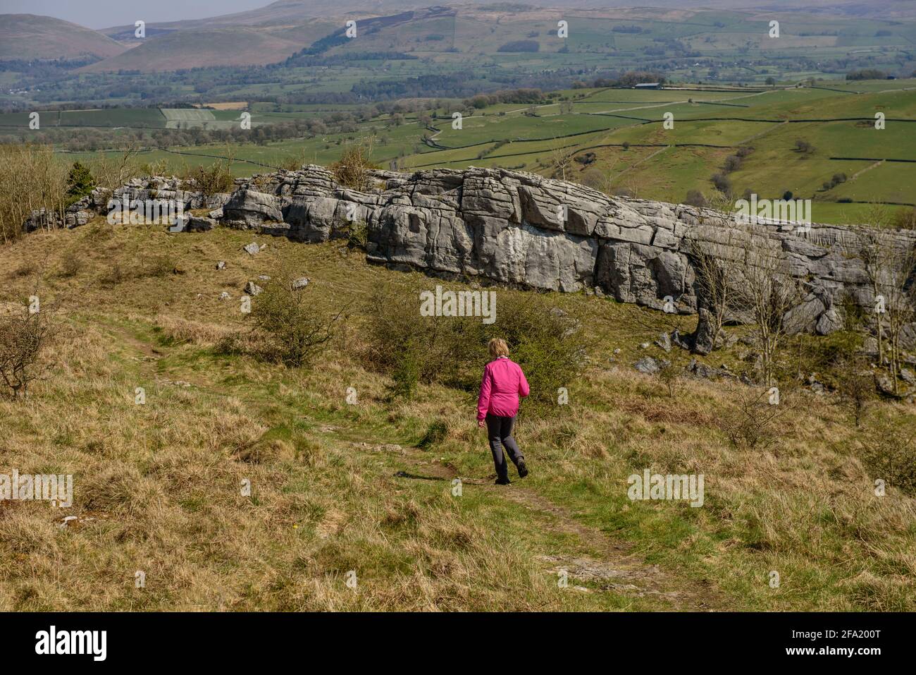 Walking the Limestone Link above Hutton Roof Crags. Cumbria Stock Photo ...