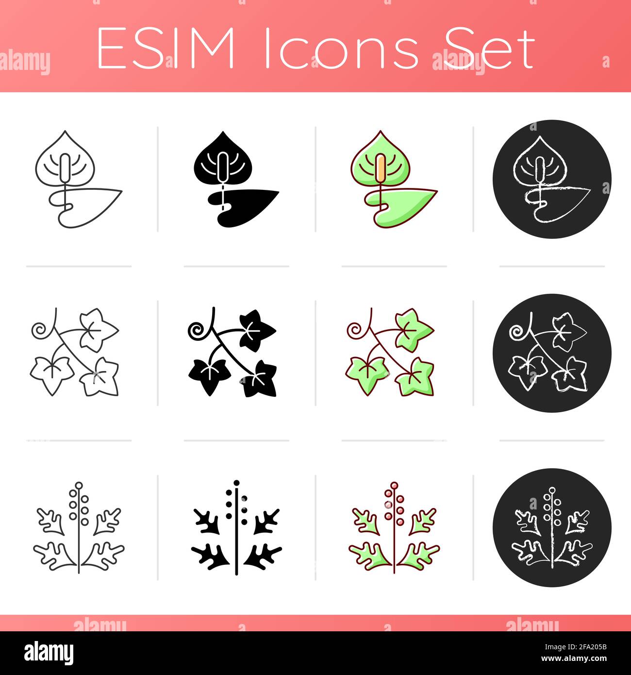 Ragweed flower Stock Vector Images - Alamy