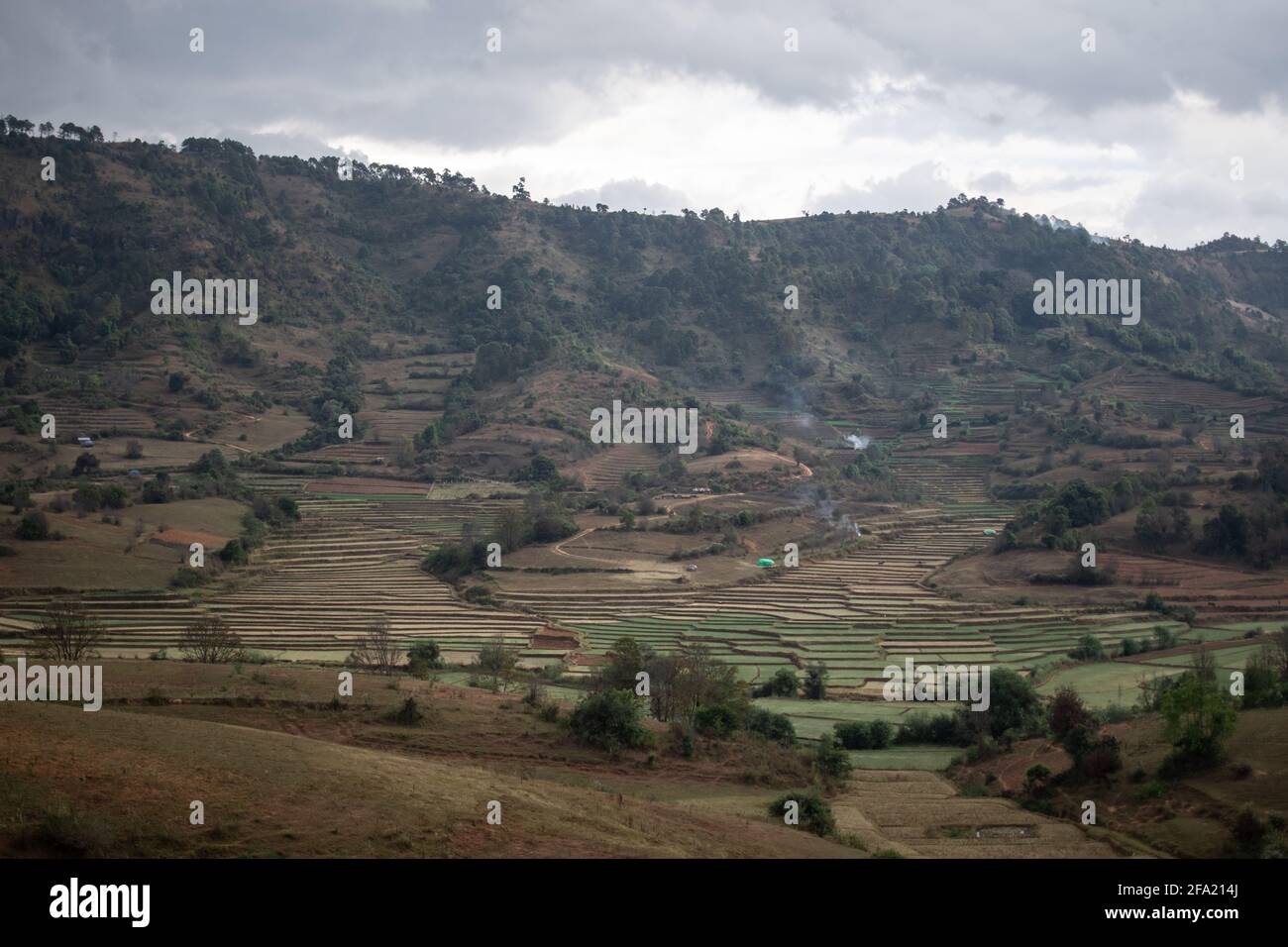 Plateau farming and local farm village with rice and chilli fields on ...
