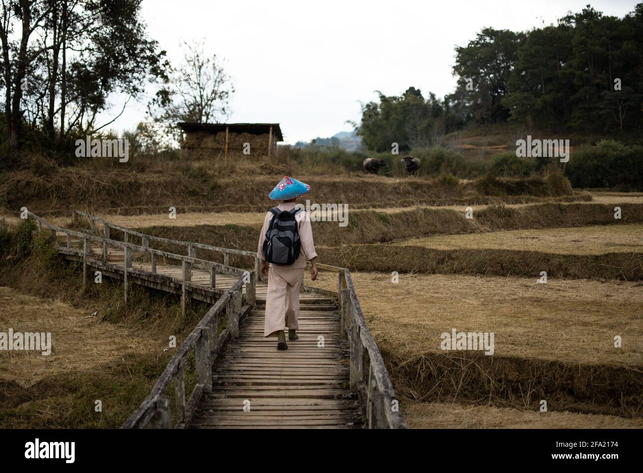 Burmese man in traditional clothing and a colorful blue hat trek a ...