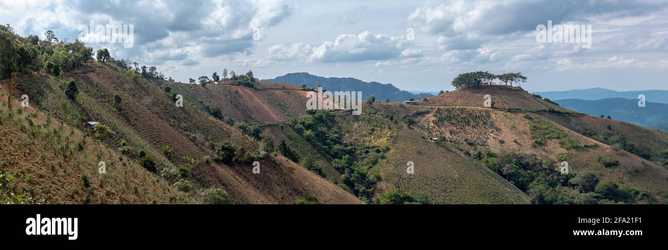 Chilli Crops Grass High Resolution Stock Photography and Images - Alamy