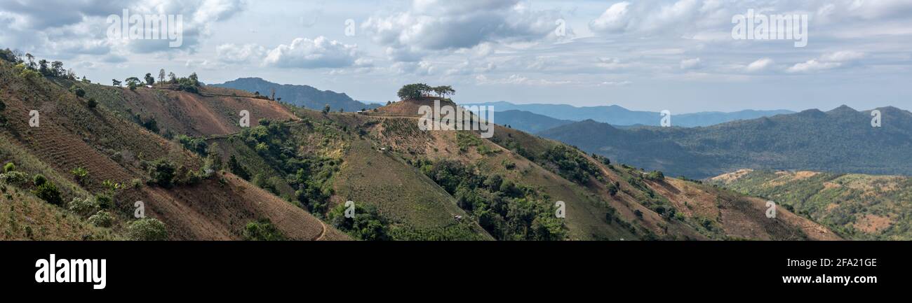 Chilli Crops Grass High Resolution Stock Photography and Images - Alamy