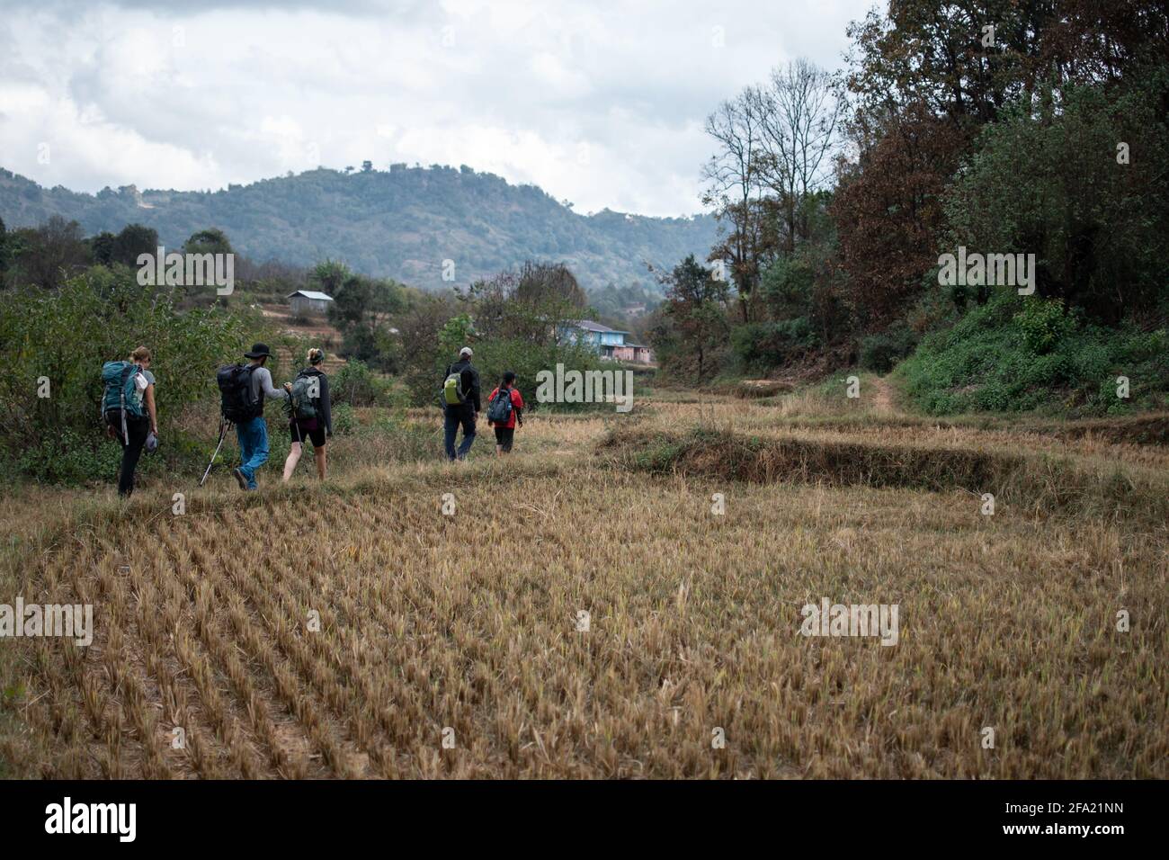 Shan state, Myanmar - January 5 2020: A tourist group hike through rice ...