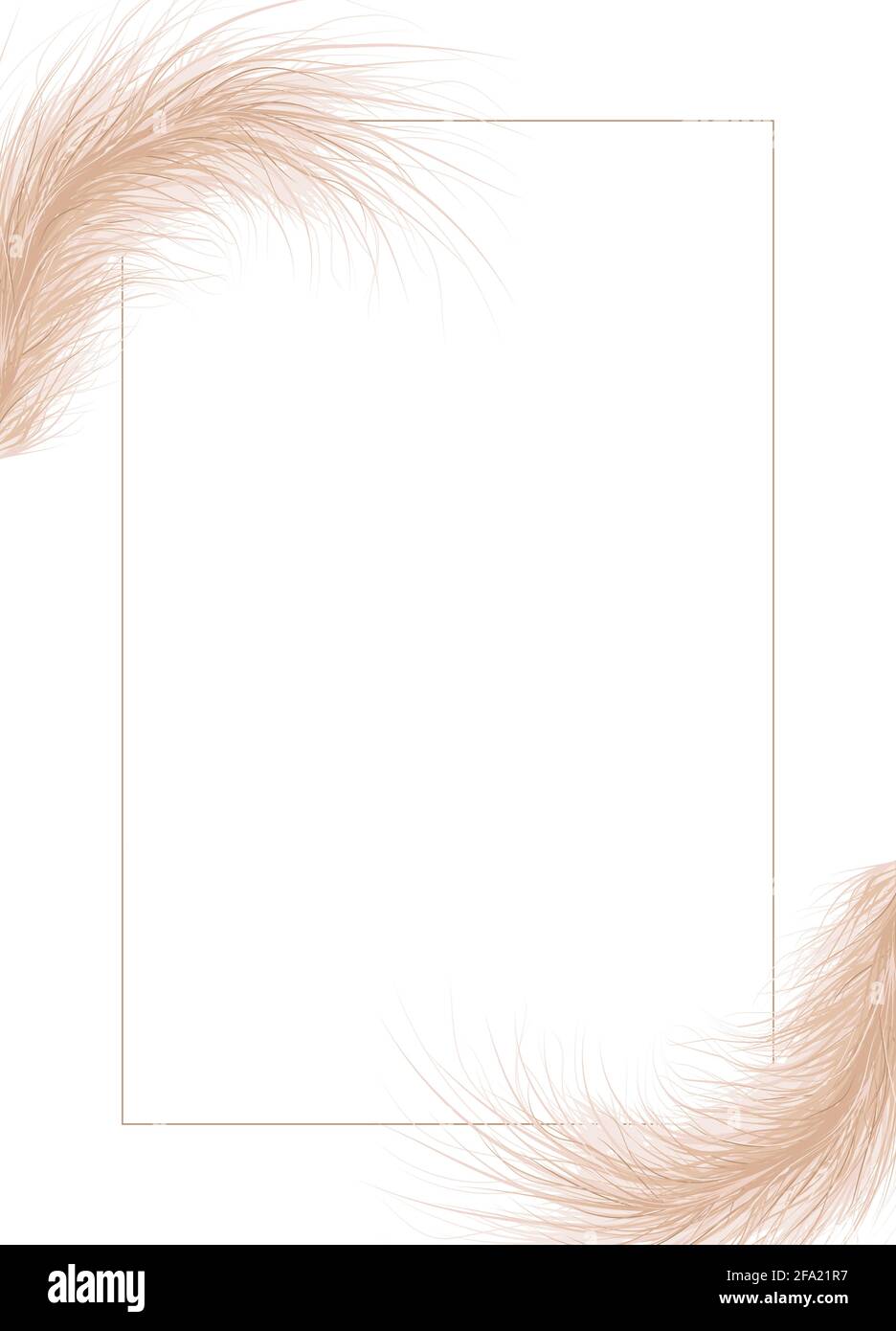 Frame of dried natural pampas grass. Floral ornament elements in boho ...