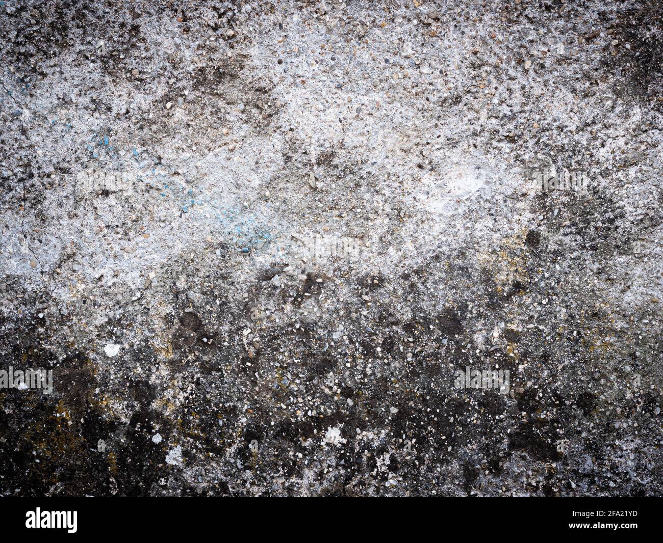 Abstract background. Black and white texture. Image with grayscale ...