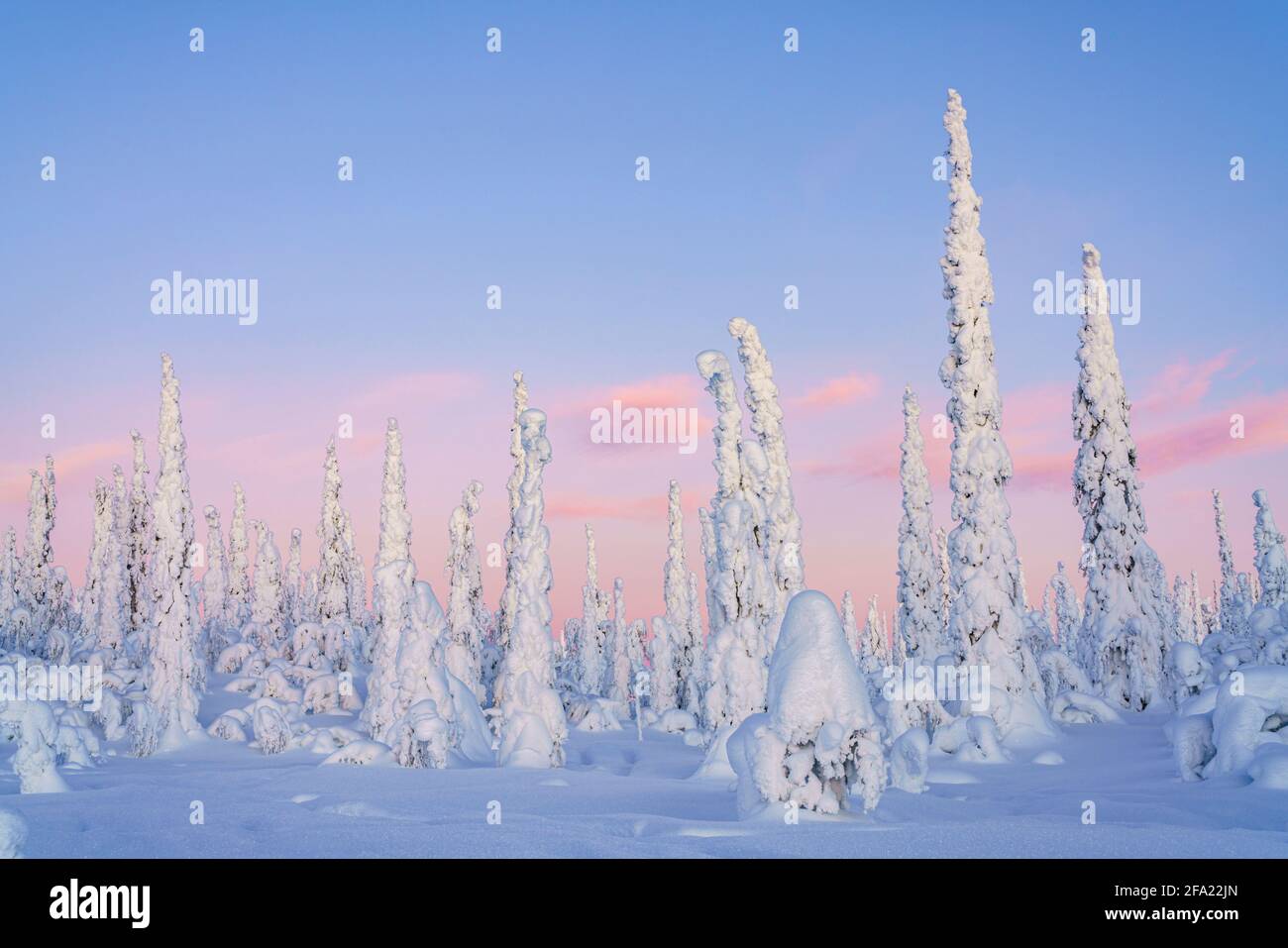 Winter landscape at sunset with colorful sky and plenty of snow on the ...