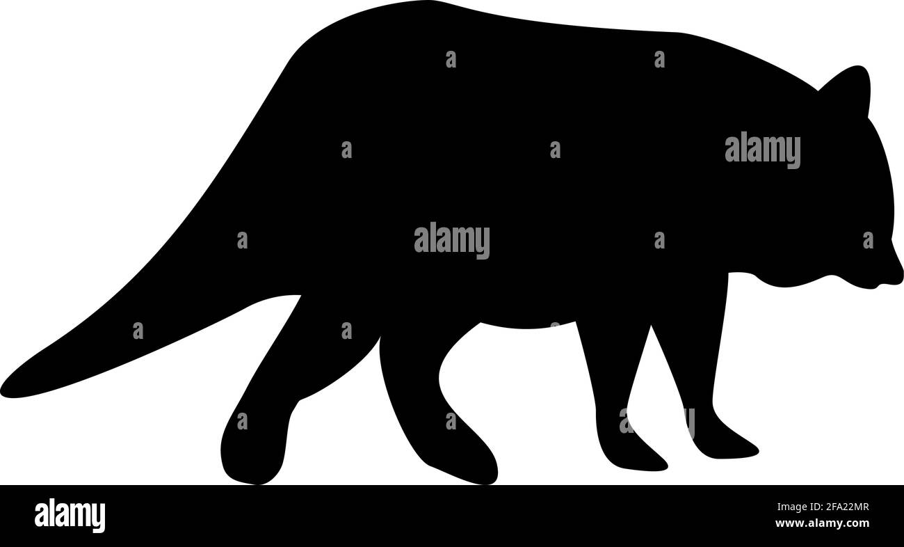 Silhouette raccoon coon black color vector illustration flat style ...
