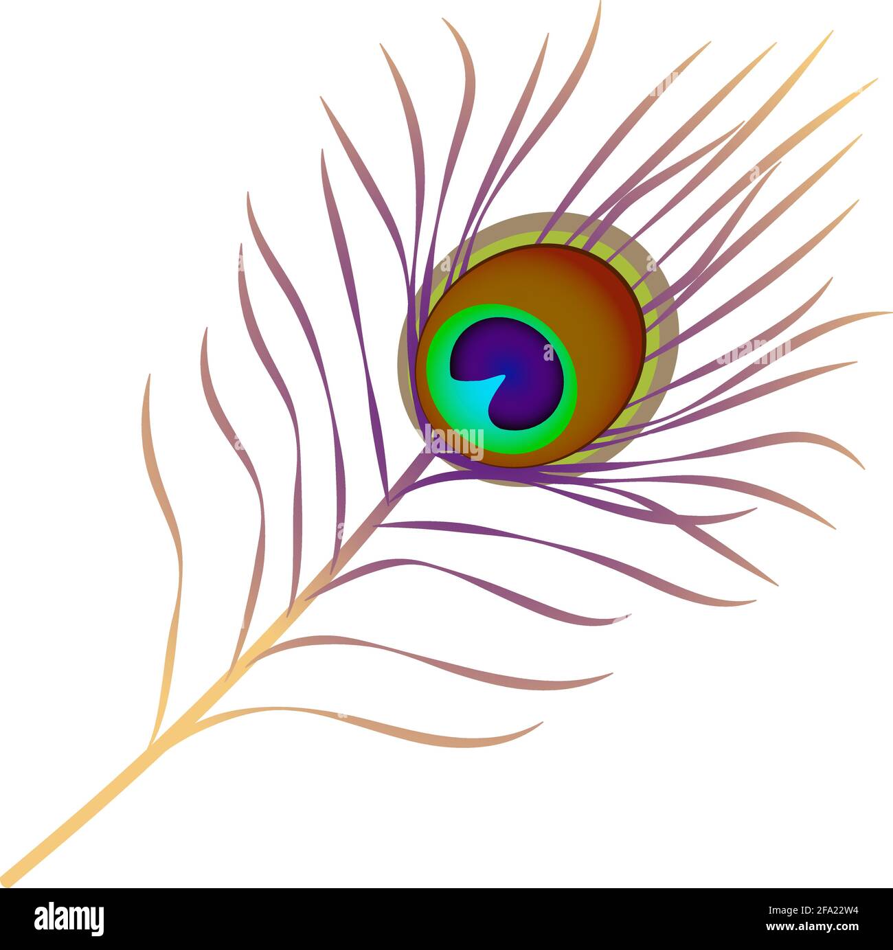 Peacock Feather Vector Illustration Isolated On White Stock Vector