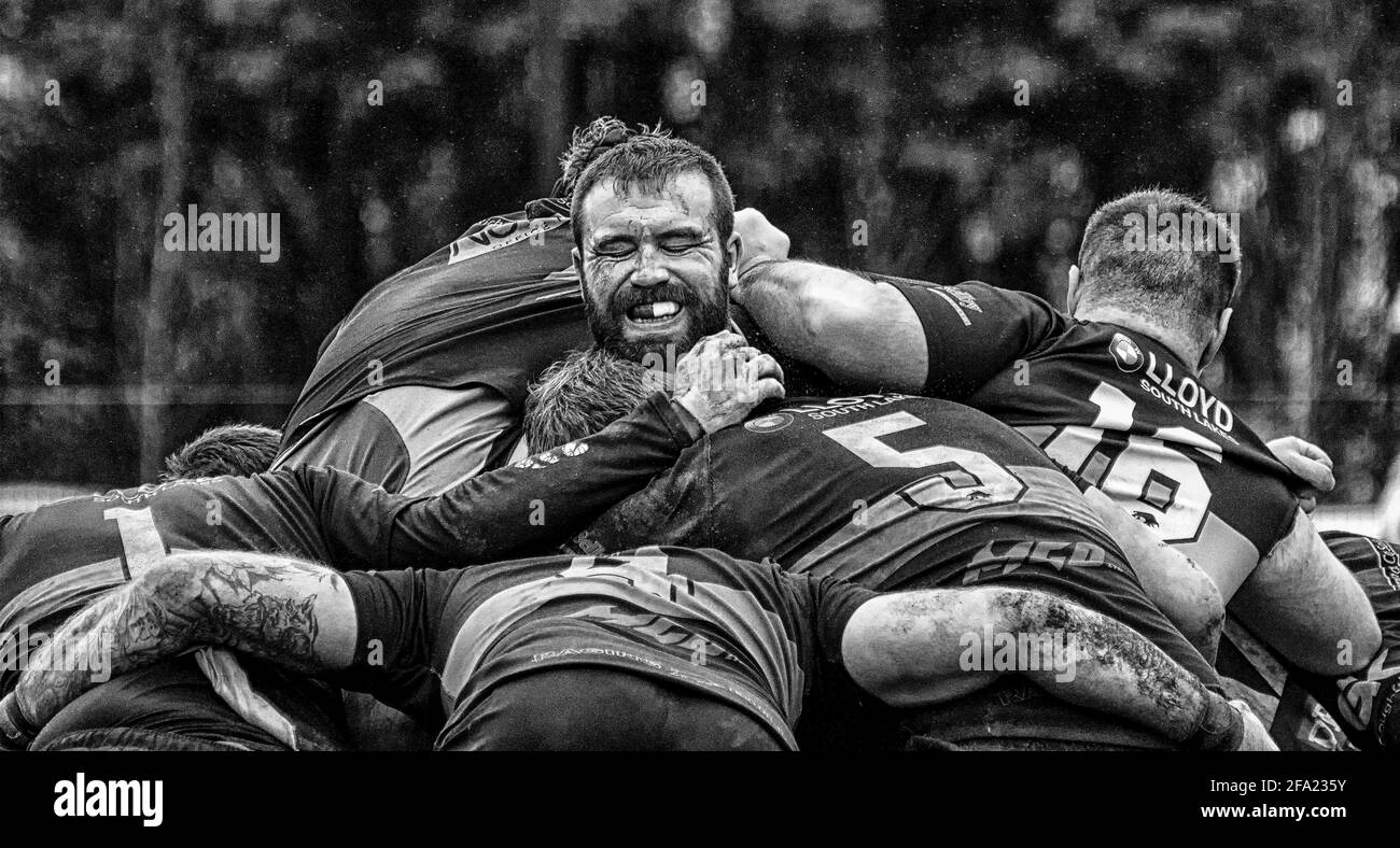 Rugby scrum front row Black and White Stock Photos & Images - Alamy