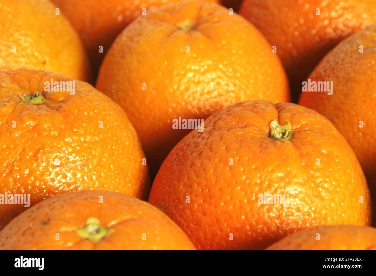Citrus images hi-res stock photography and images - Alamy