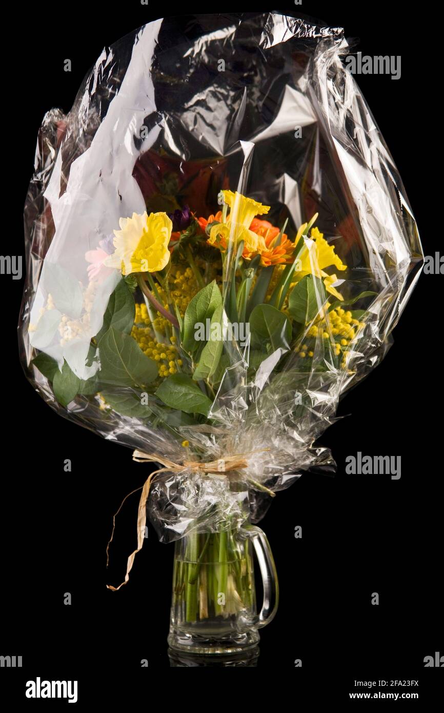 Clear cellophane hi-res stock photography and images - Alamy