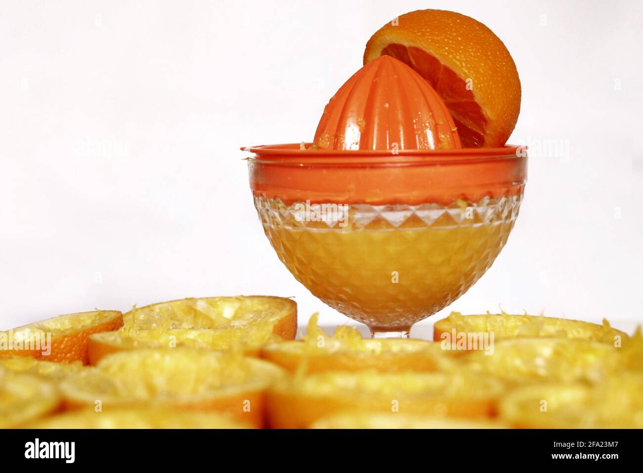 orange (Citrus sinensis), orange squeezer Stock Photo - Alamy
