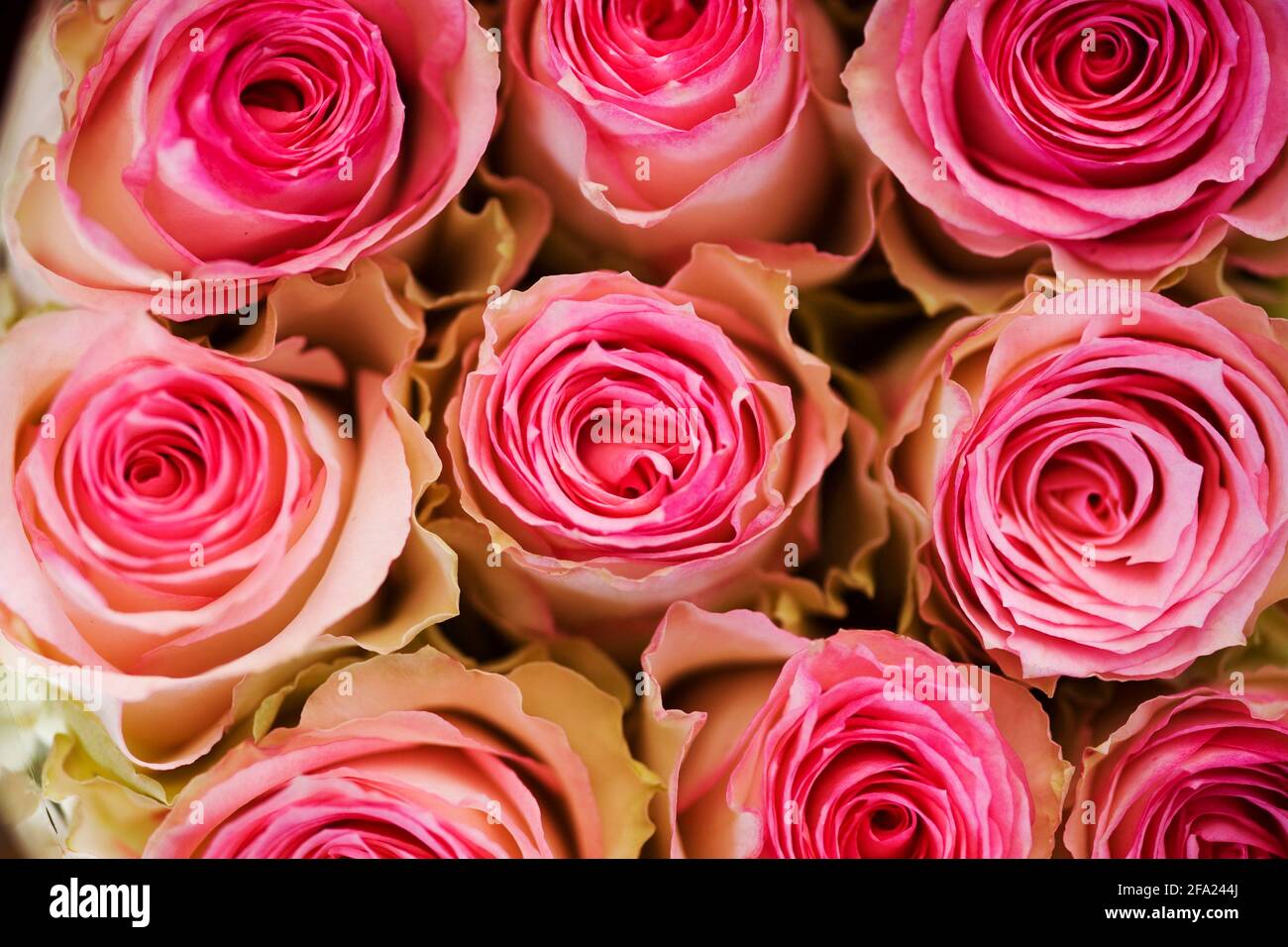 Rose bouquet hi-res stock photography and images - Alamy