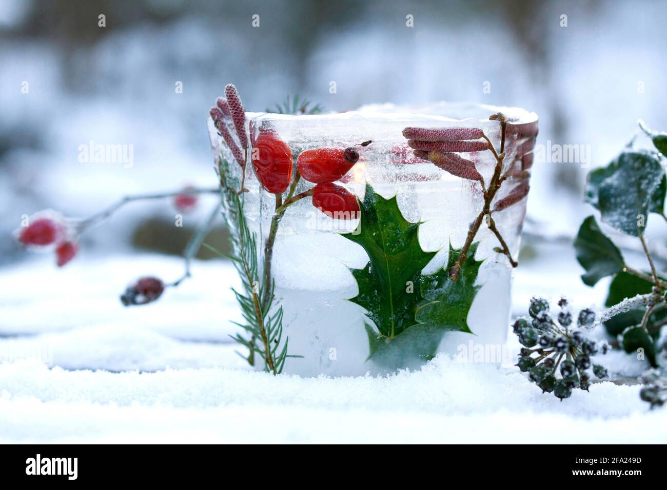 ice lantern, candle burns inside an ice bowl, which is decorated with ...