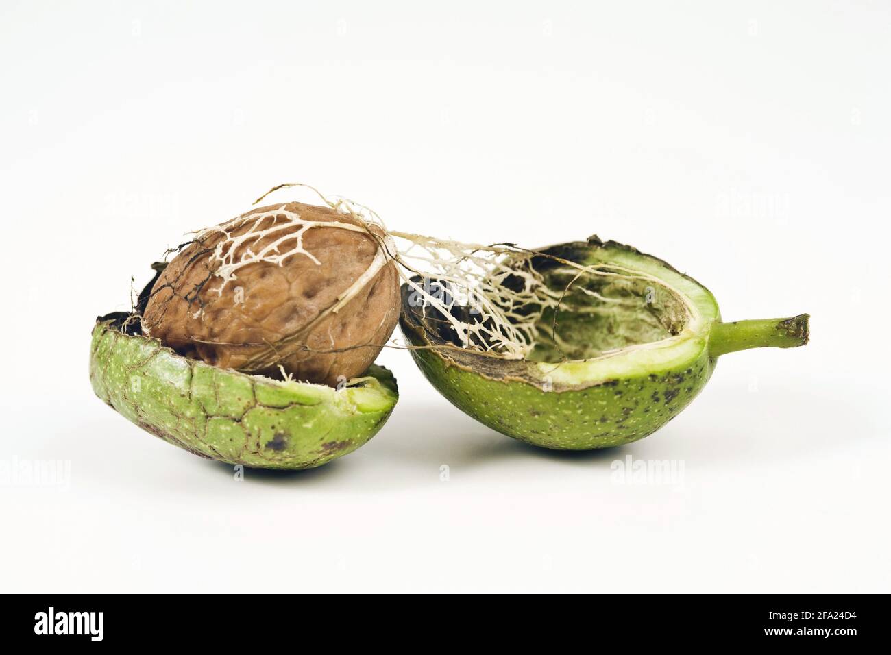 Fruit with shell hi-res stock photography and images - Alamy