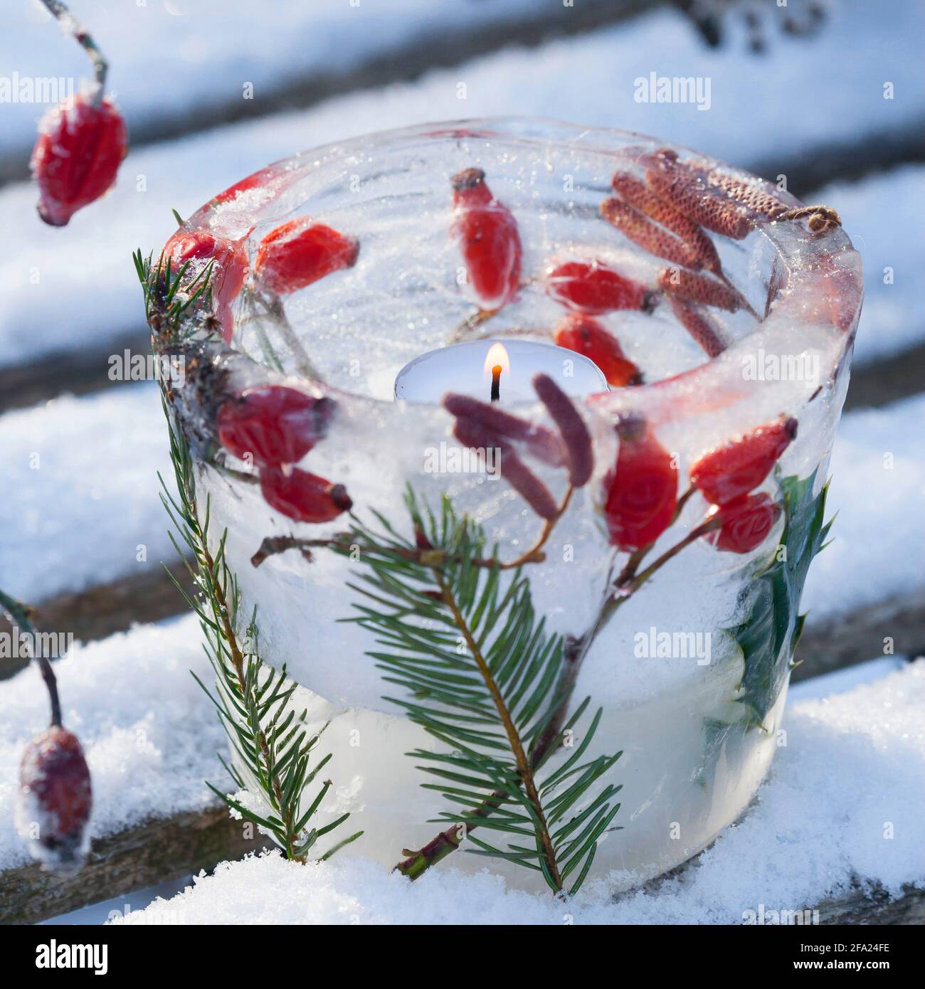 ice lantern, candle burns inside an ice bowl, which is decorated with ...