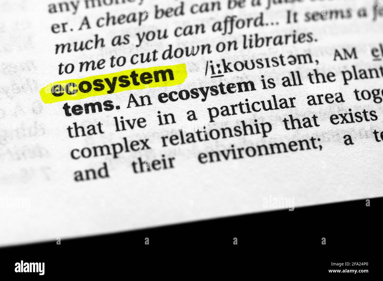 Highlighted word ecosystem concept and meaning Stock Photo - Alamy