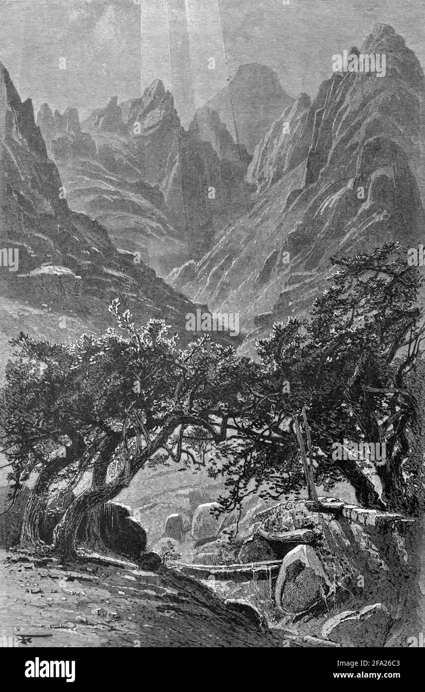 Wady Katarina, Sinai. This rocky glen Shagg Musa leads up from the ...