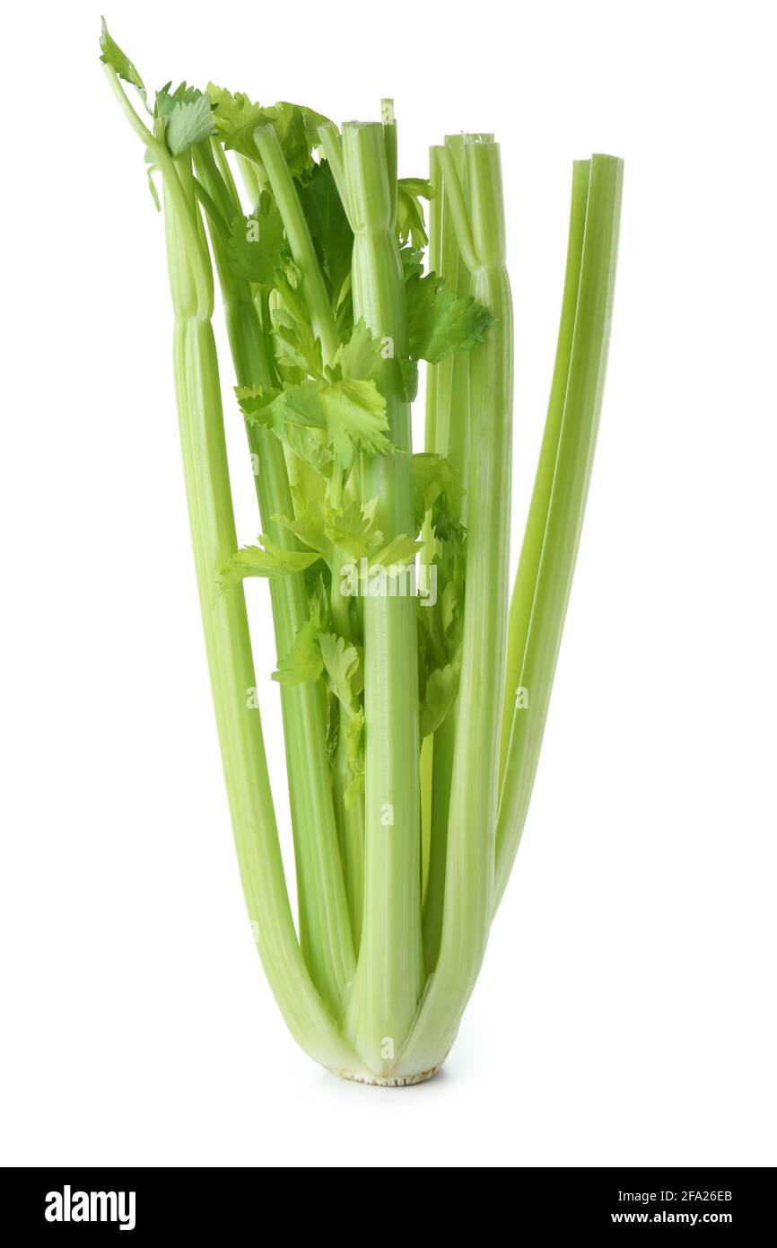 Fresh green celery isolated on white background Stock Photo - Alamy
