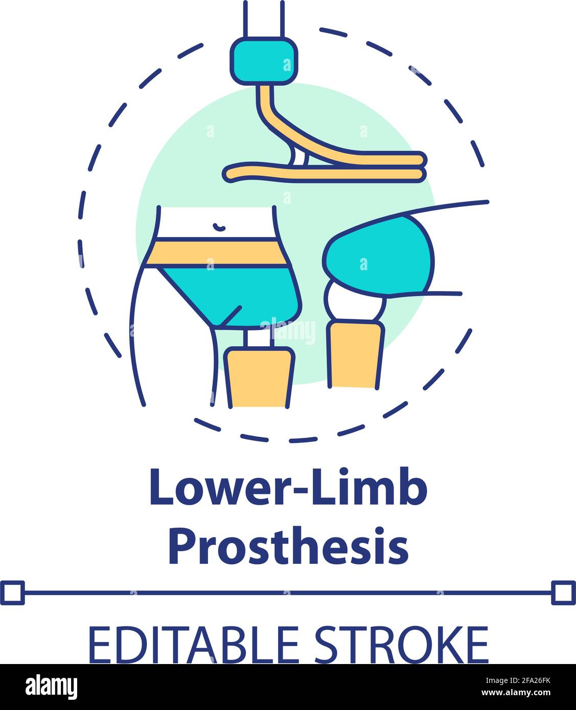 Illustration anatomy limb lower Stock Vector Images - Alamy