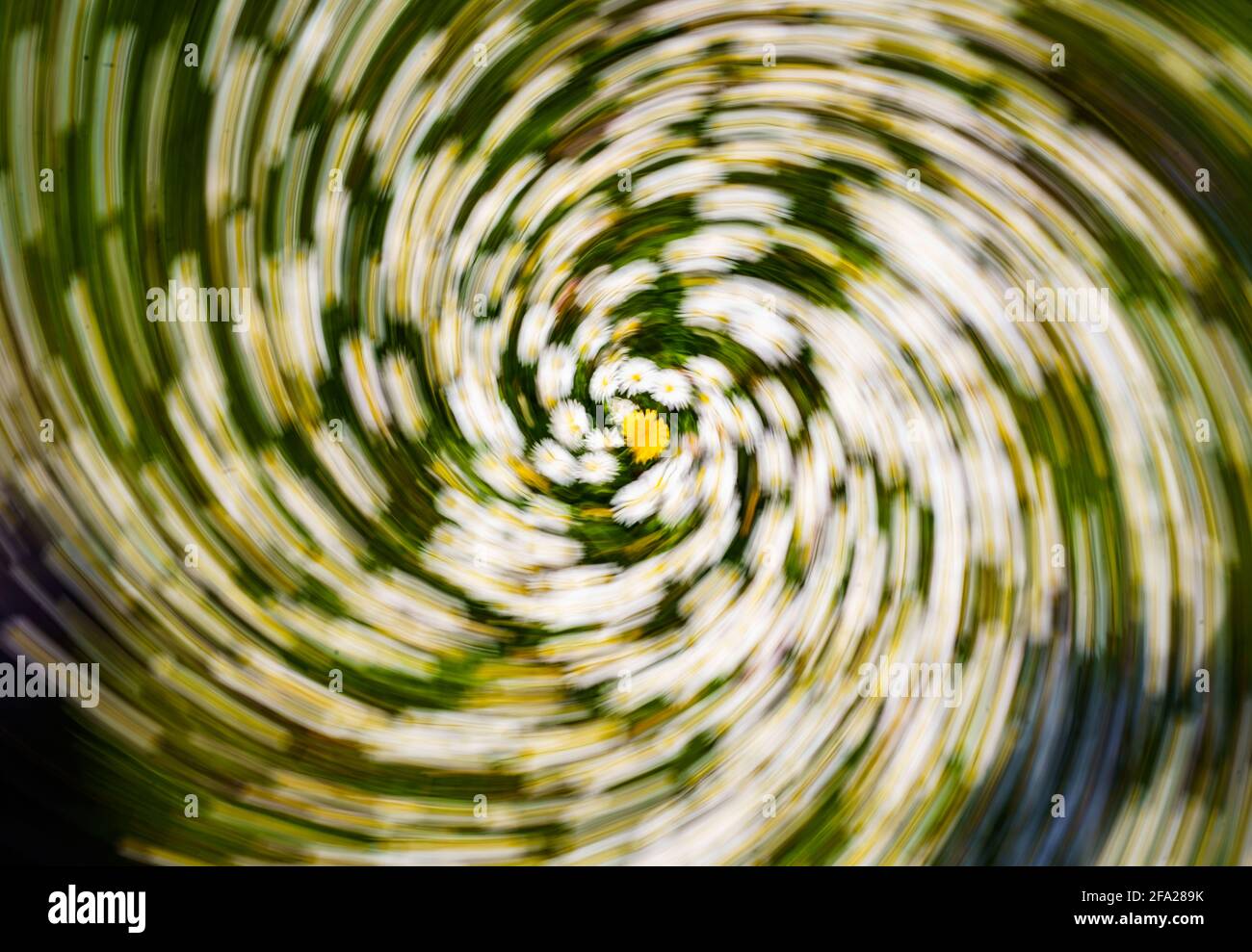 Camera movement during exposure hi-res stock photography and images - Alamy