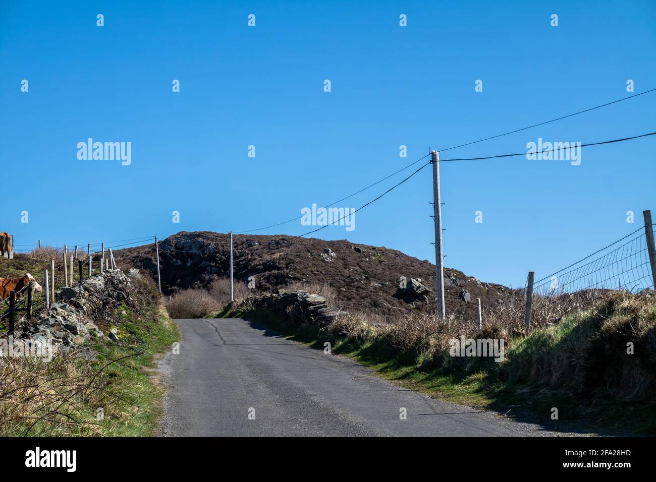 Utility Pole and lines for transmission of electricity and ...