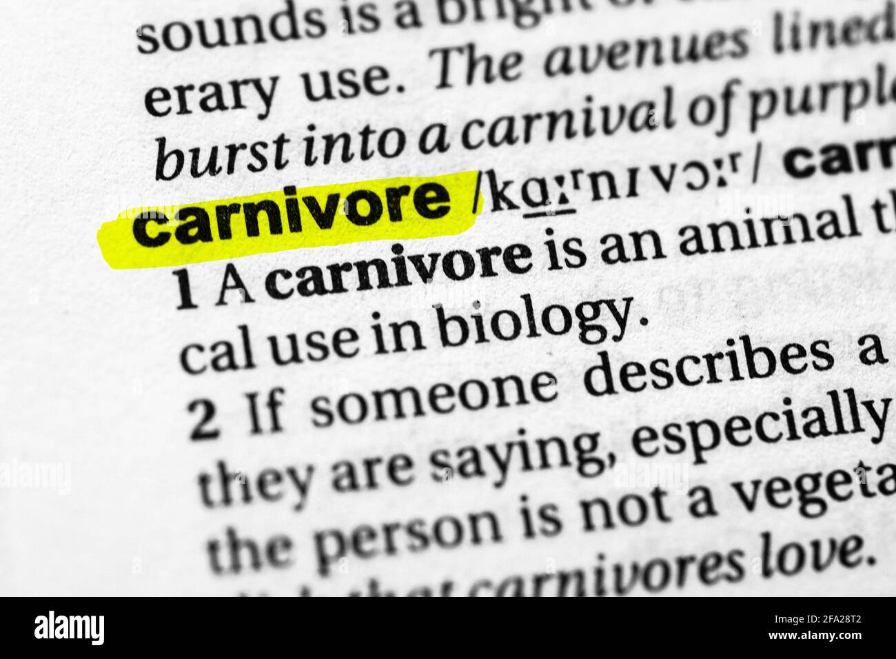 Carnivore biology hi-res stock photography and images - Alamy