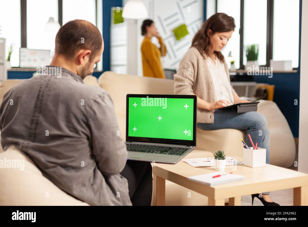 Back view of business man sitting on couch using laptop with green ...