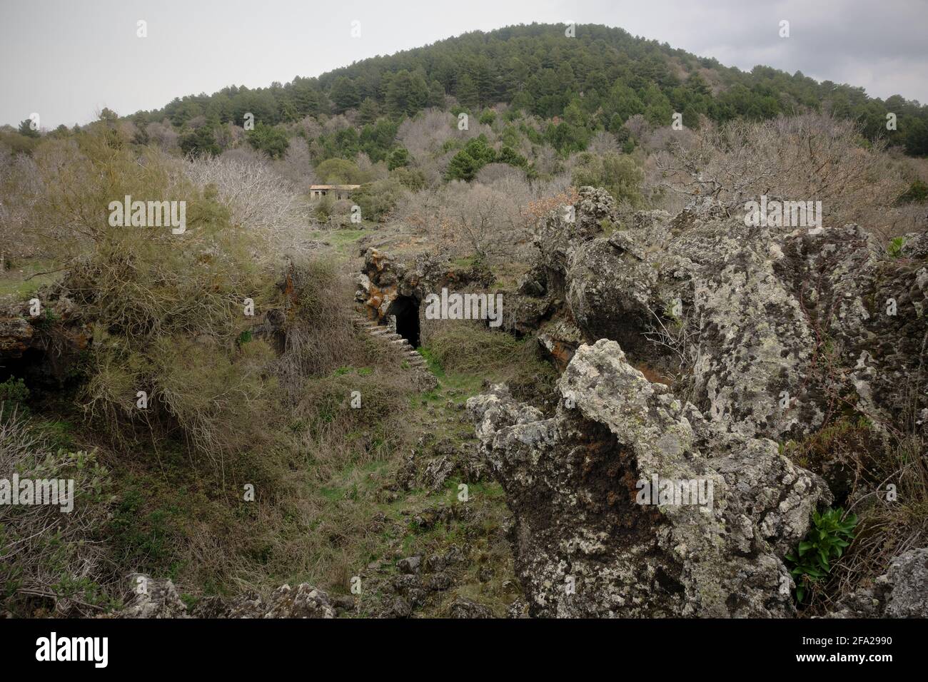 Intraleo hi-res stock photography and images - Alamy