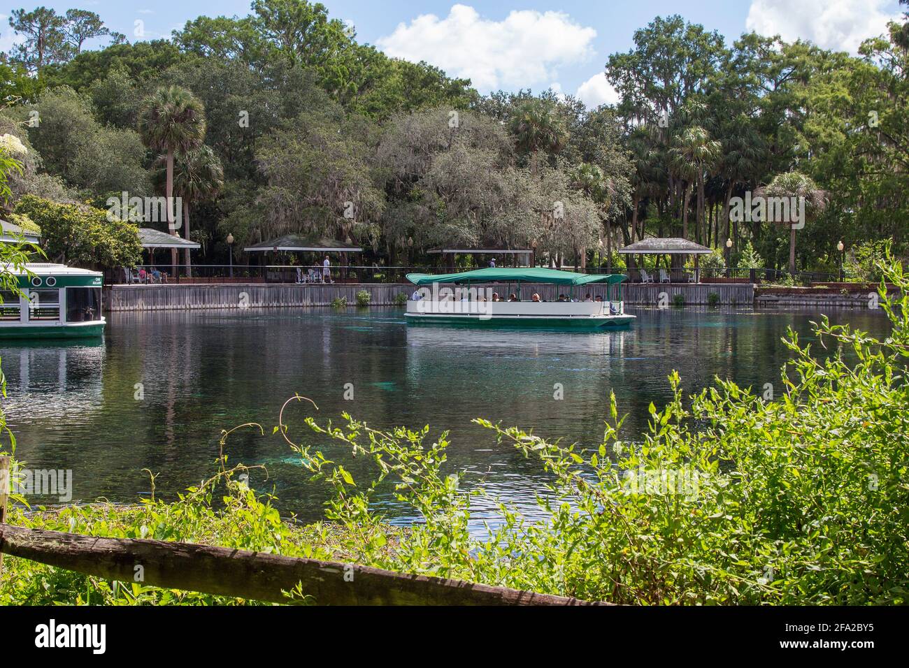 Glass Bottom Boat Florida Springs at Beulah Insley blog