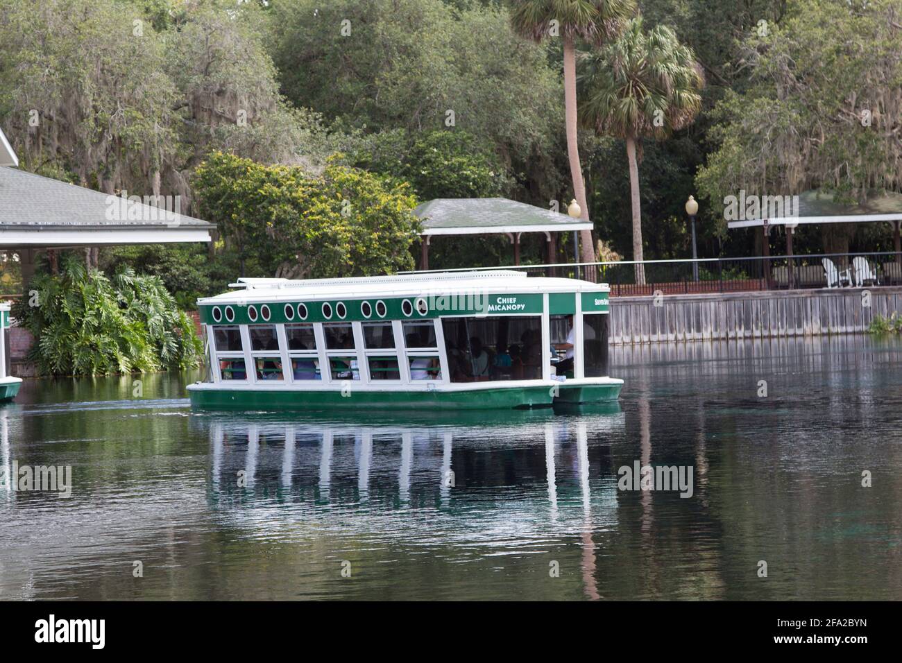 Glass Bottom Boat Florida Springs at Beulah Insley blog