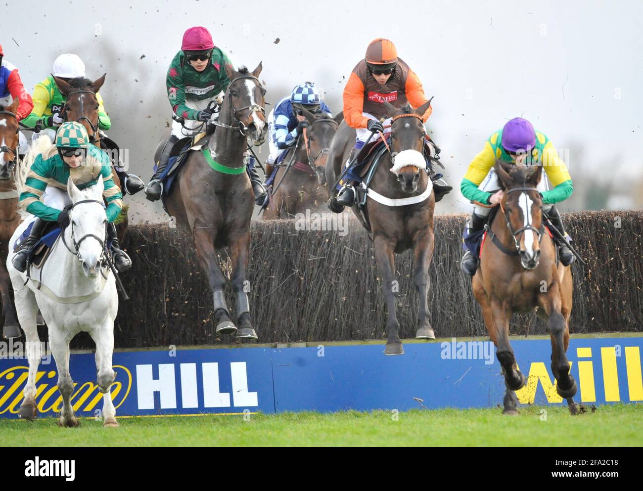 Long run horse kempton hi-res stock photography and images - Alamy