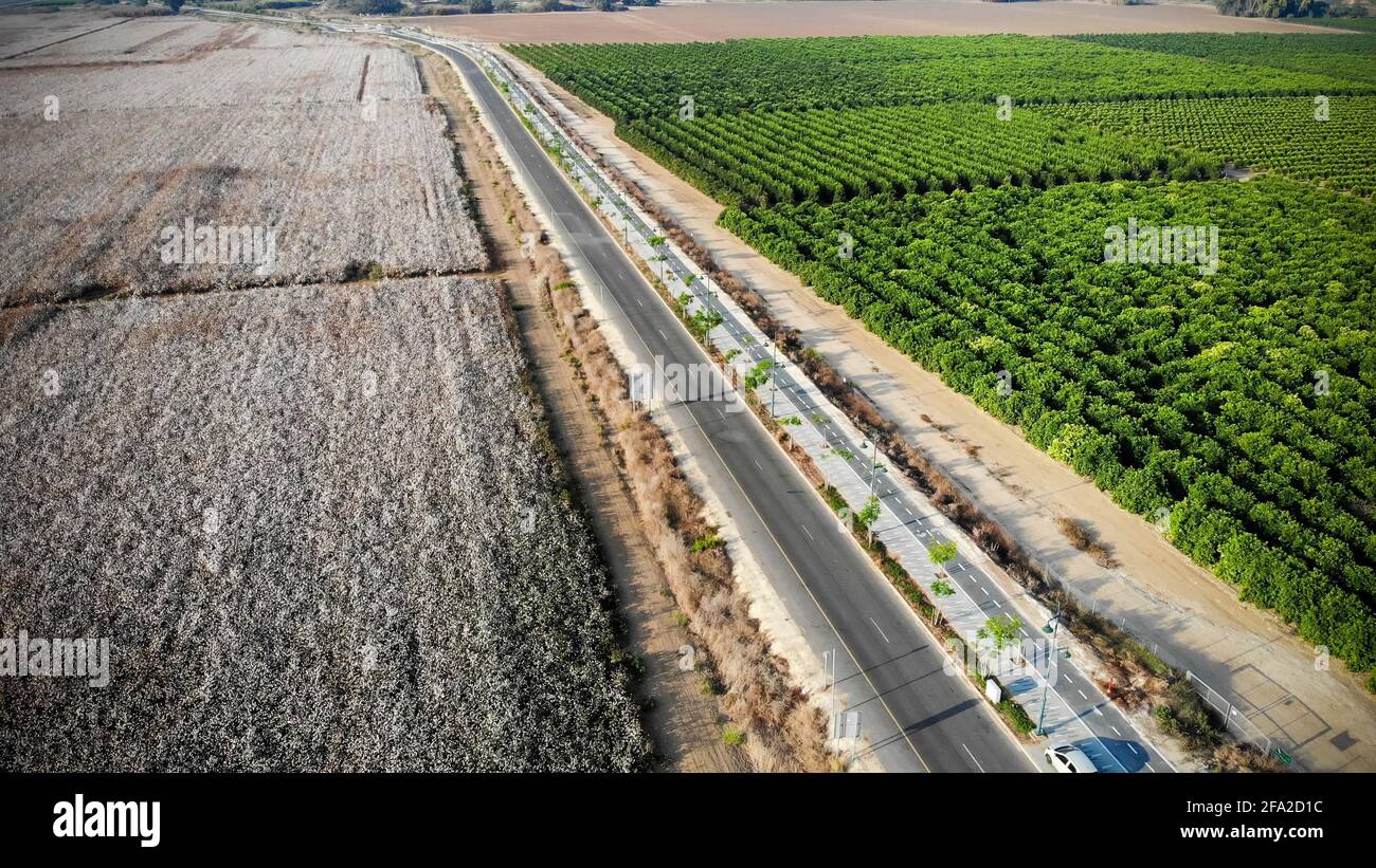 Aerial View Farm Cotton High Resolution Stock Photography and Images ...
