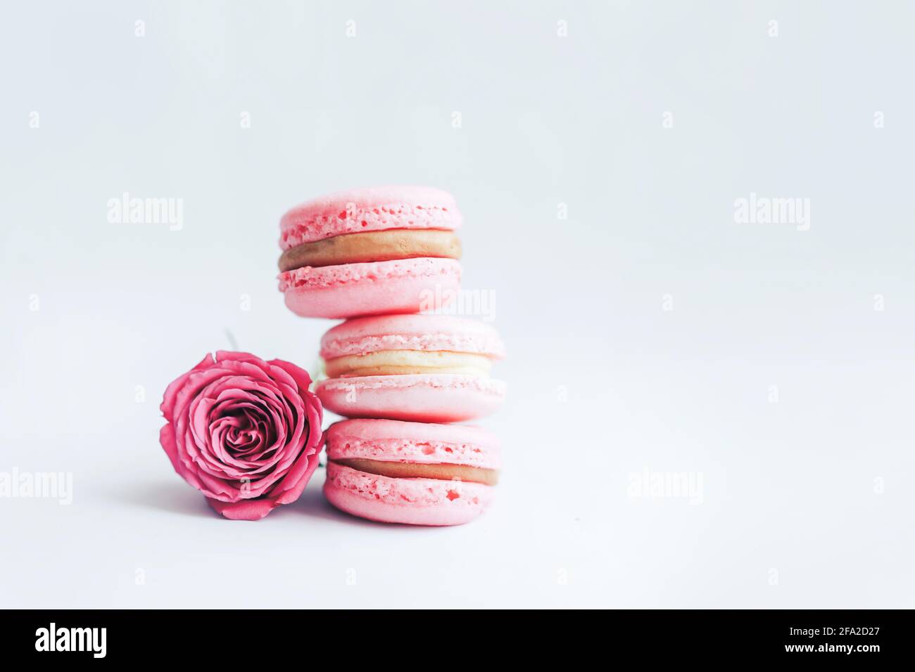 A beautiful flower and macaroon standing on top of each other in pink ...