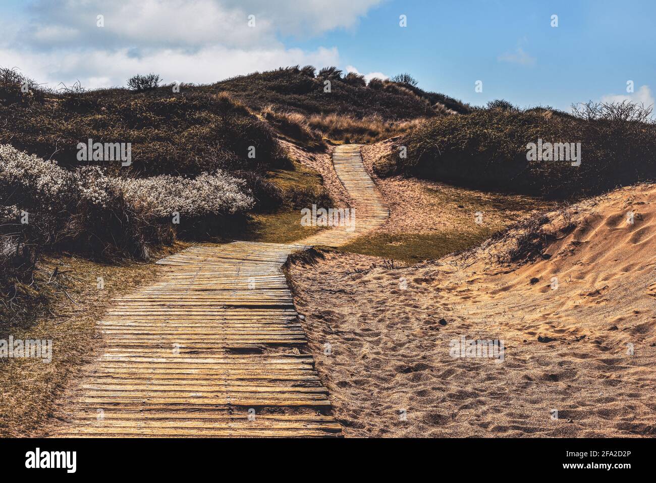 Boardwalk through the sand dunes to a quiet sandy beach Stock Photo - Alamy