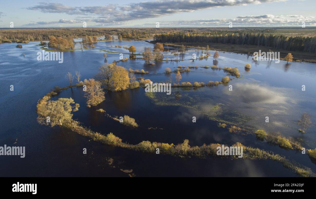 Aerial floodplain and autumn colored river bends Stock Photo - Alamy