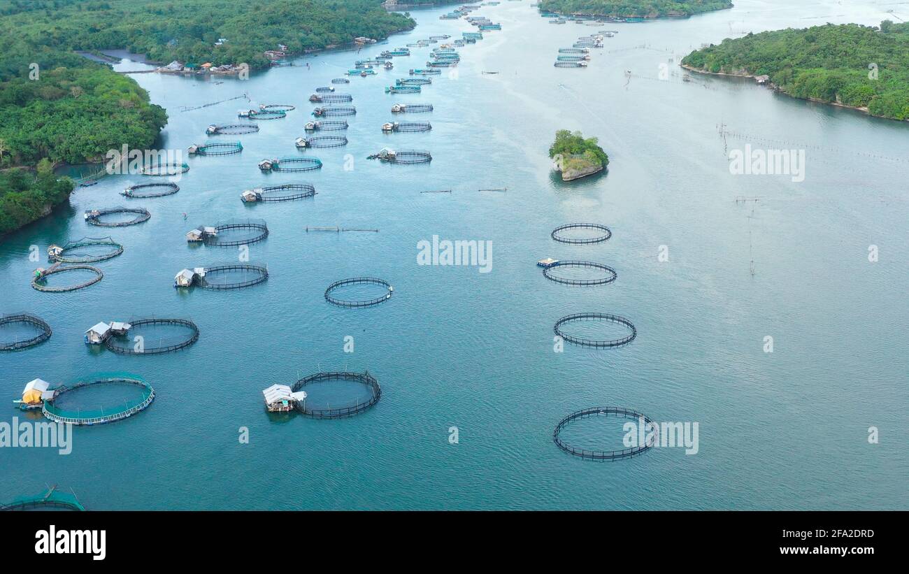Aerial view of fish ponds for bangus, milkfish. Fish farm, top view ...