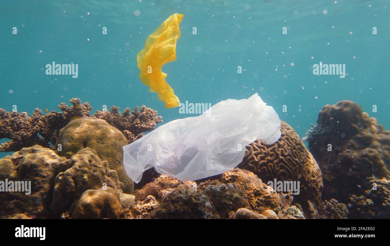 The sea and the coral reef is polluted with plastic bags and human ...