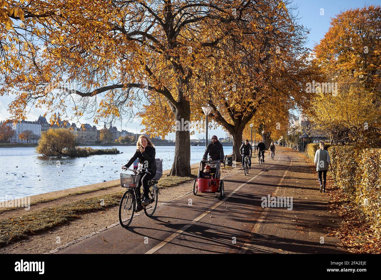 Copenhagen, Denmark 25 October 2015. Autumn in Copenhagen, lifestyle of ...