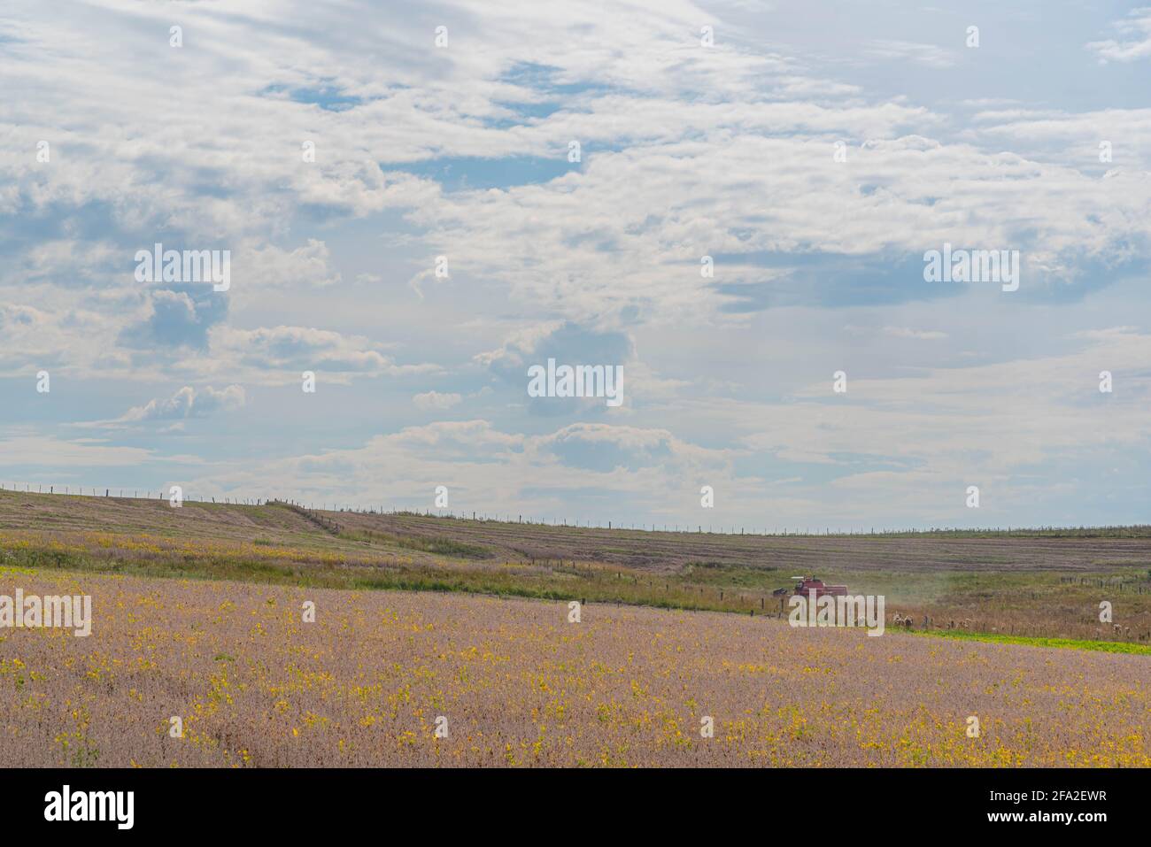 Rural landscape in soybean fields in Brazil. Area of farms and ...