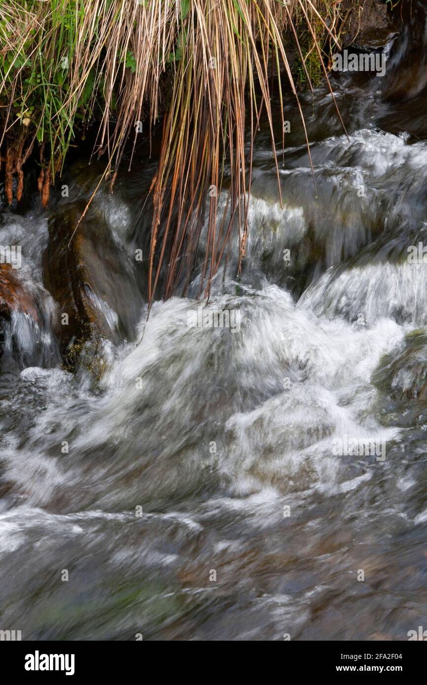 Shee water hi-res stock photography and images - Alamy