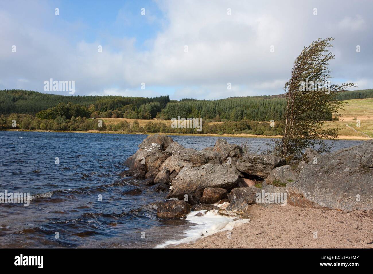 Loch Ruthven, RSPB Nature Reserve, The Highlands, Scotland, UK Stock ...