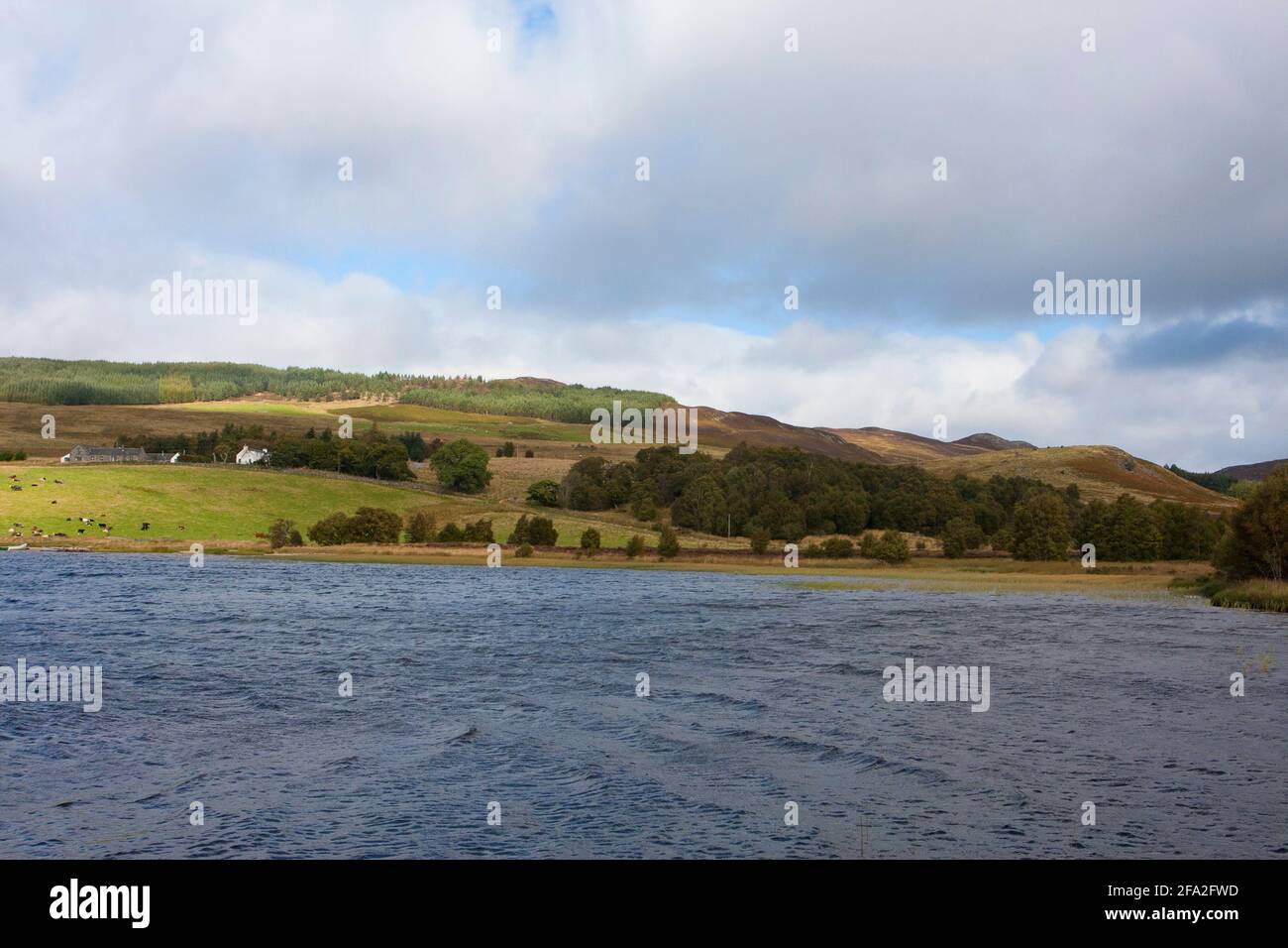 Loch Ruthven, RSPB Nature Reserve, The Highlands, Scotland, UK Stock ...