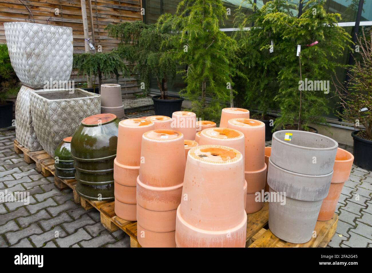 Spring plants containers hi-res stock photography and images - Alamy