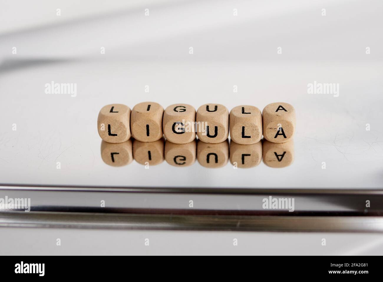 Dictionary plants hi-res stock photography and images - Alamy