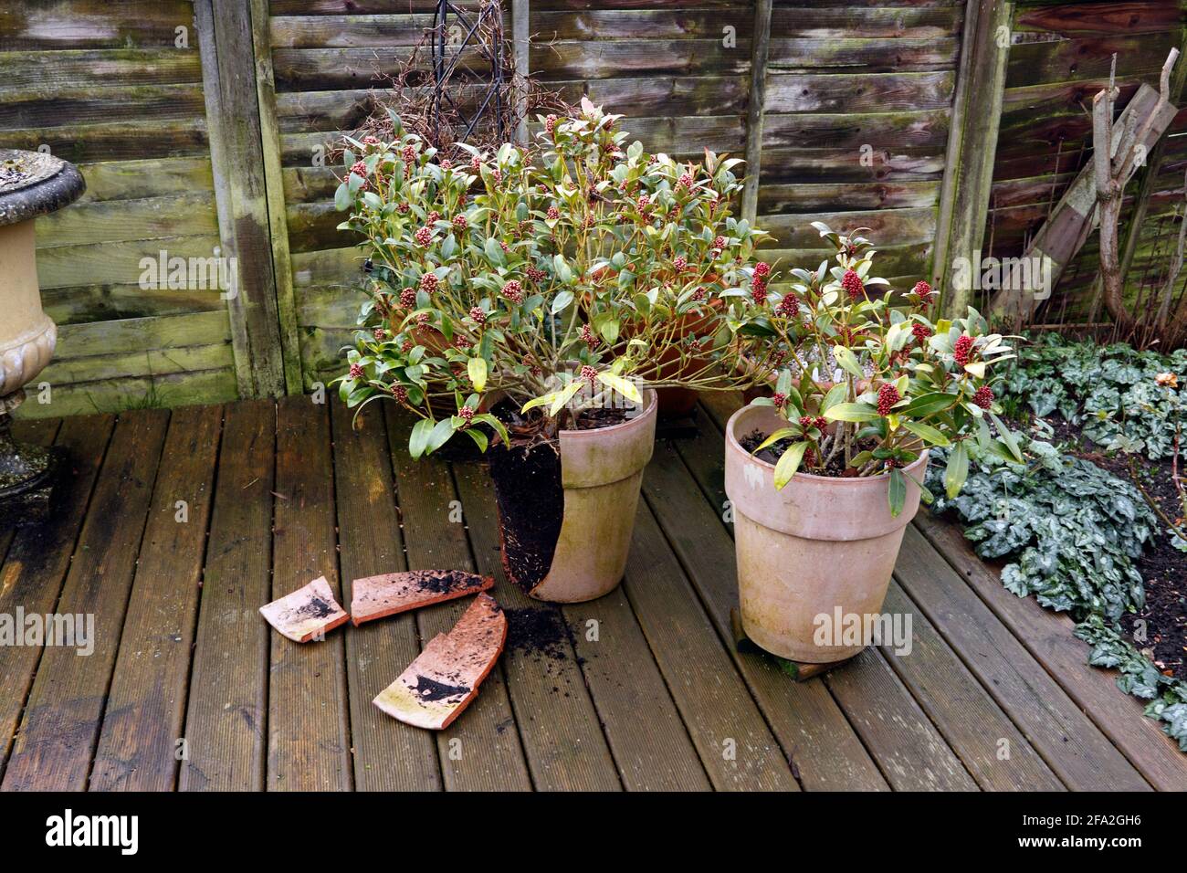 Broken pot garden hi-res stock photography and images - Alamy