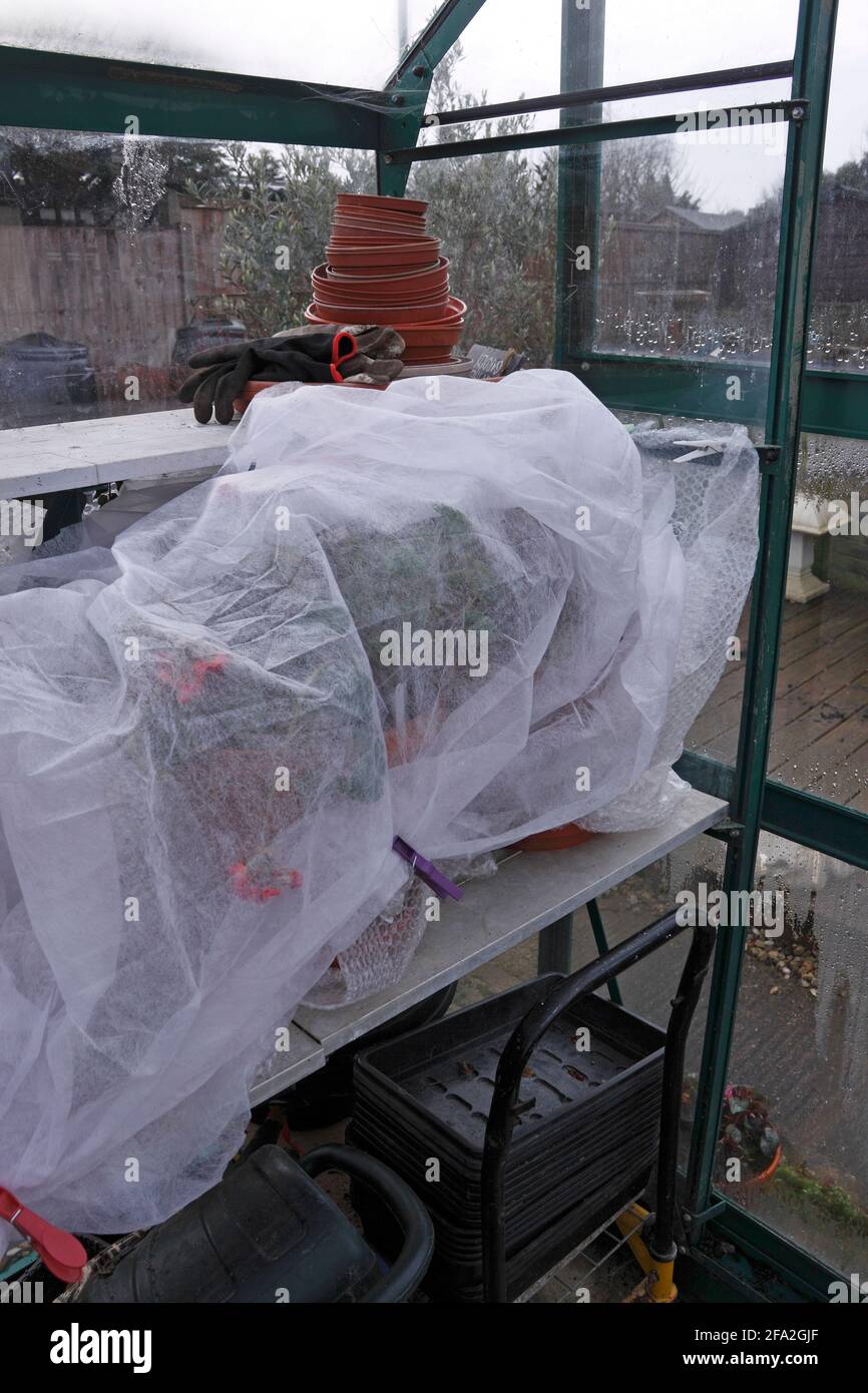 Frost protection hi-res stock photography and images - Alamy