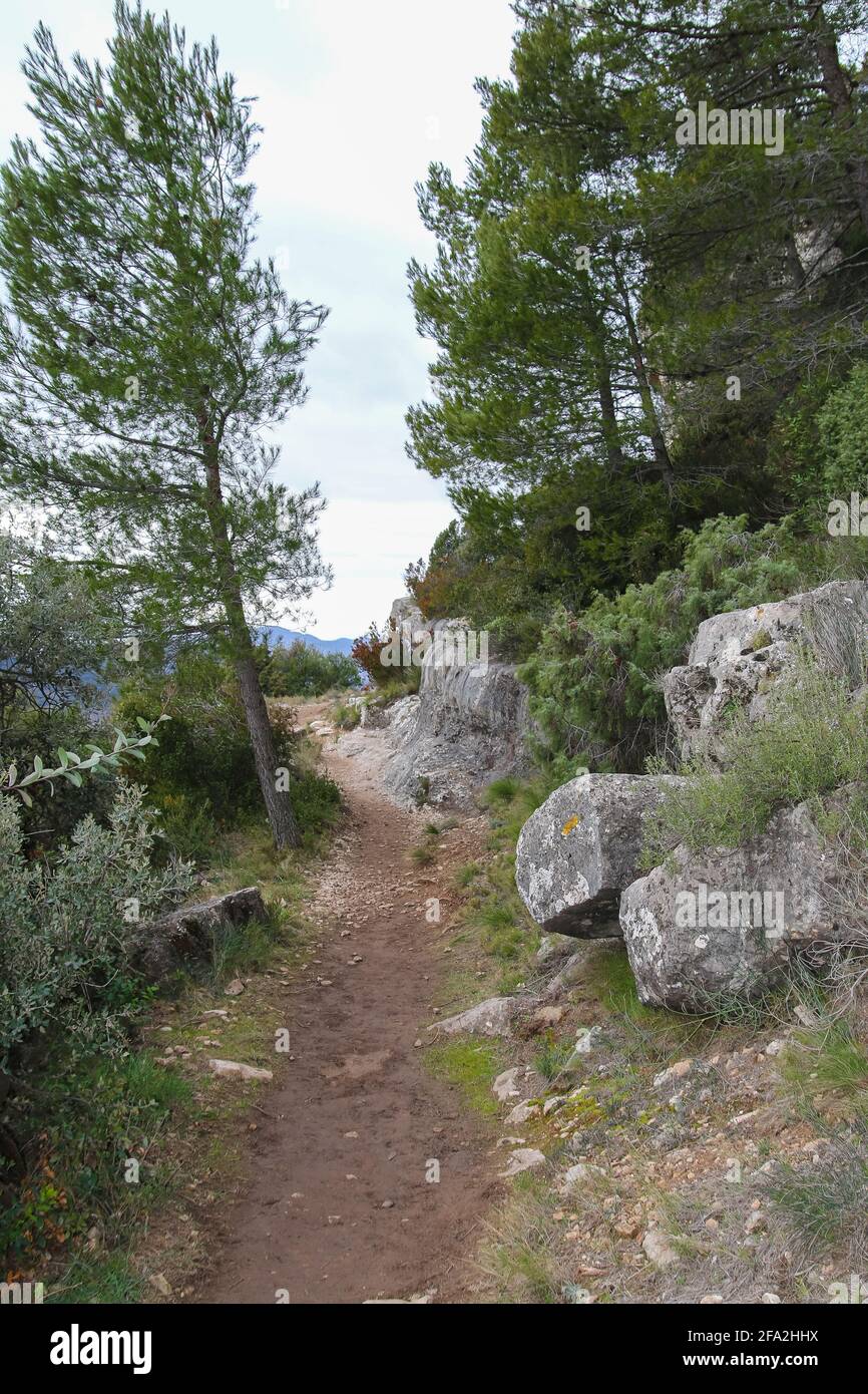 Long pathway surrounded by rocks and greens on the mountain Stock Photo ...