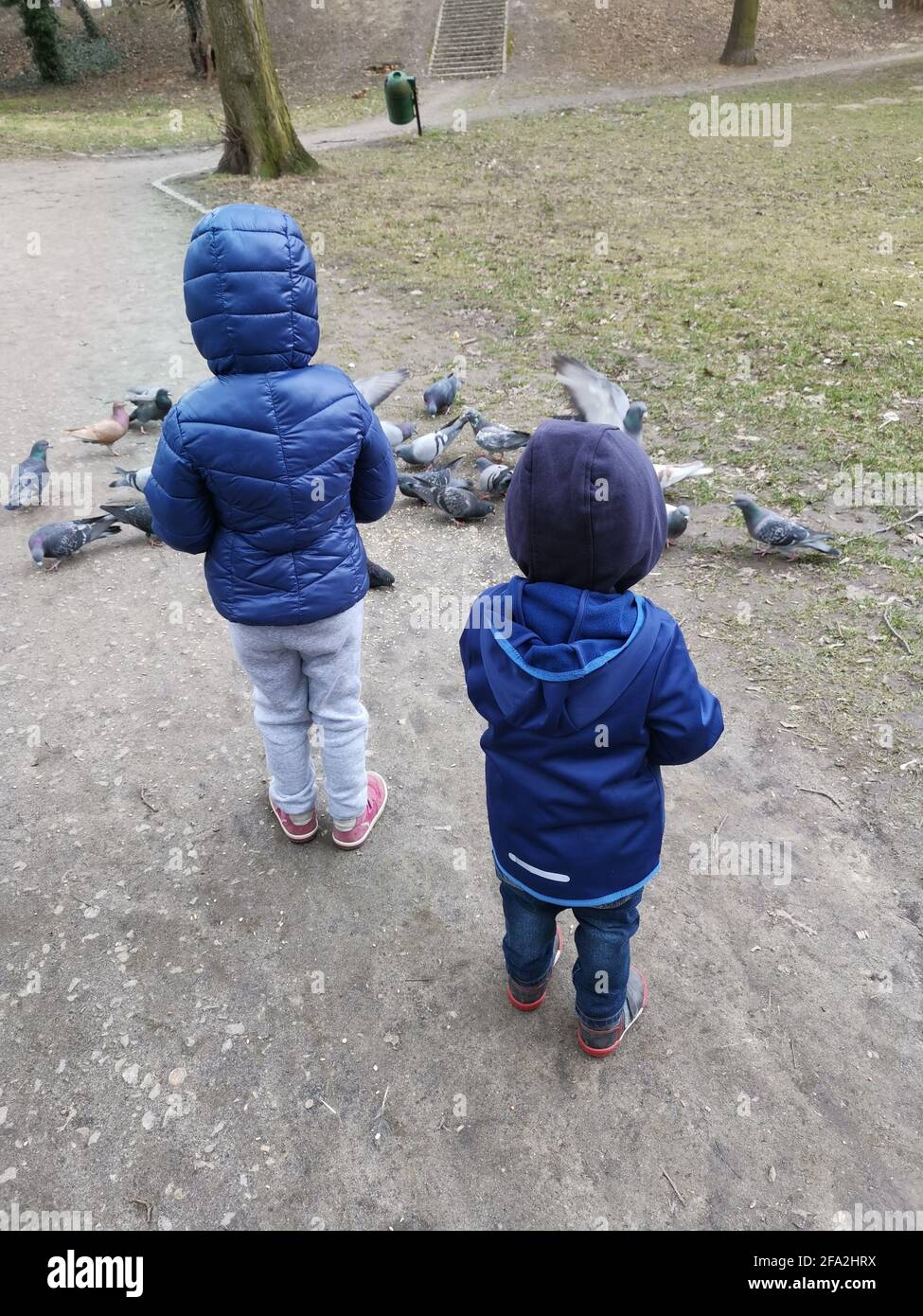 Back view of children feeding pigeons Stock Photo - Alamy