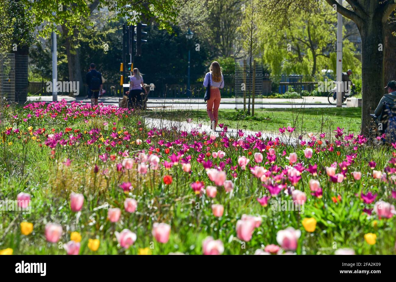 Valley gardens brighton hi-res stock photography and images - Alamy